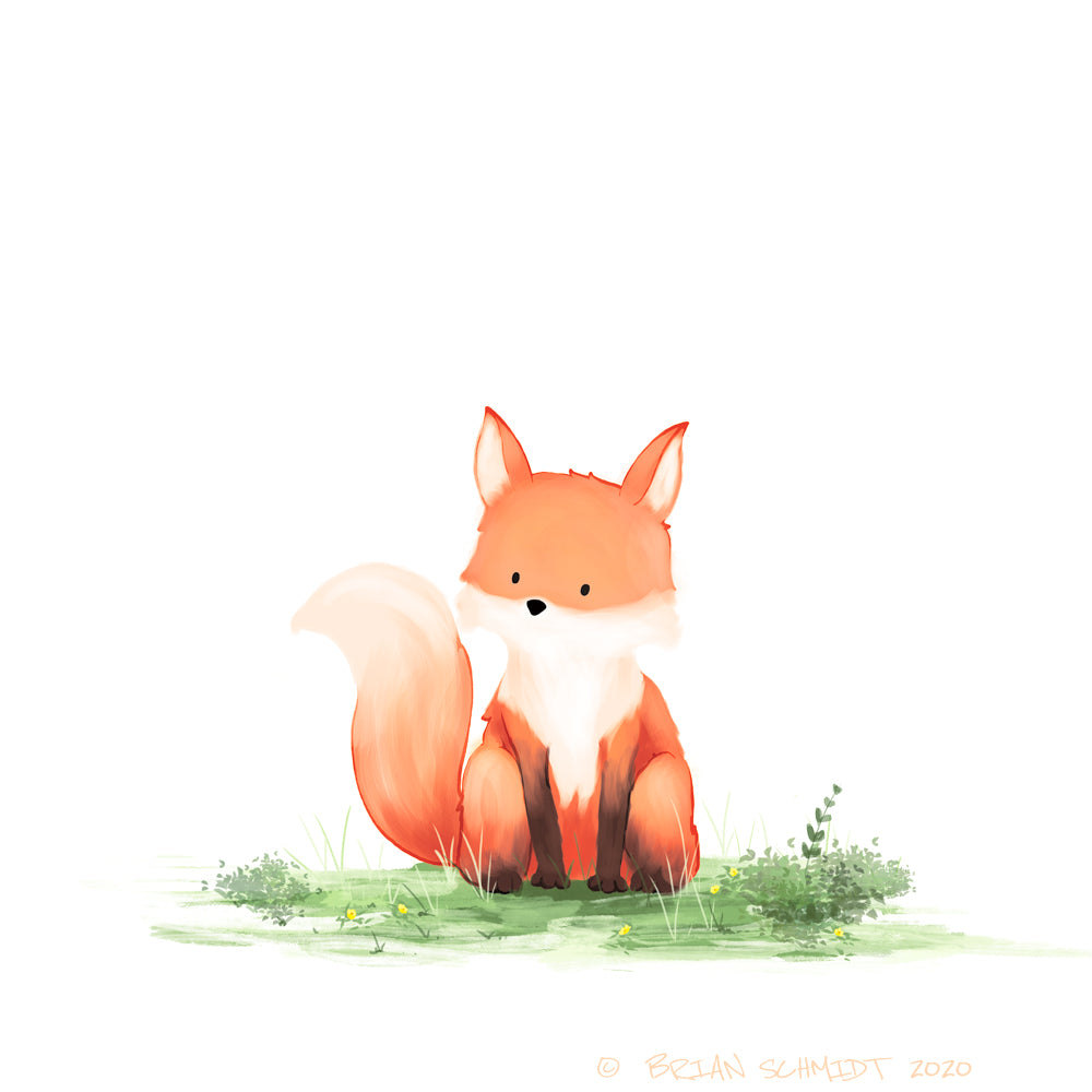 Fox Art Prints